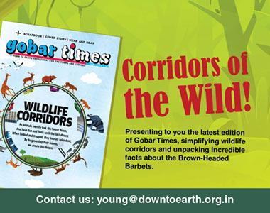 CSE’s Weekly News Bulletin