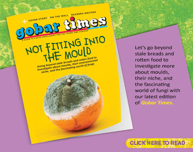 CSE’s Weekly News Bulletin