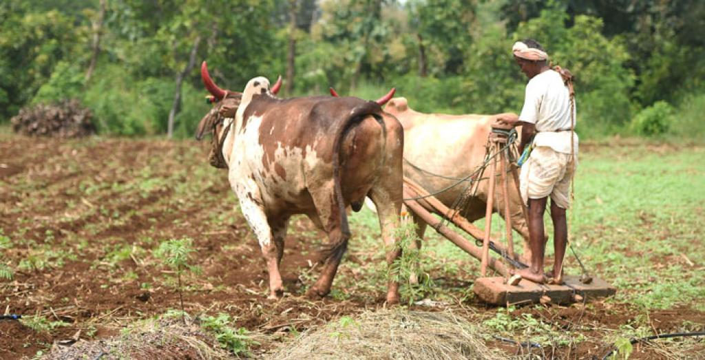 Can permaculture make agriculture sustainable?