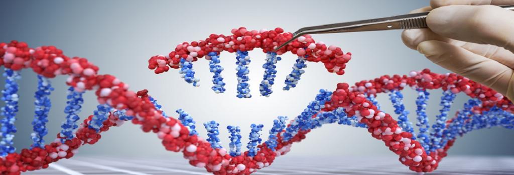 Russia to grow 30 gene-edited plants, animals by 2027