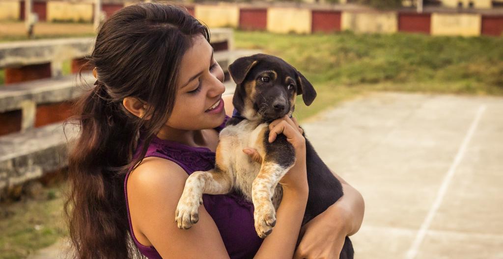 A Case For India s Stray Dogs