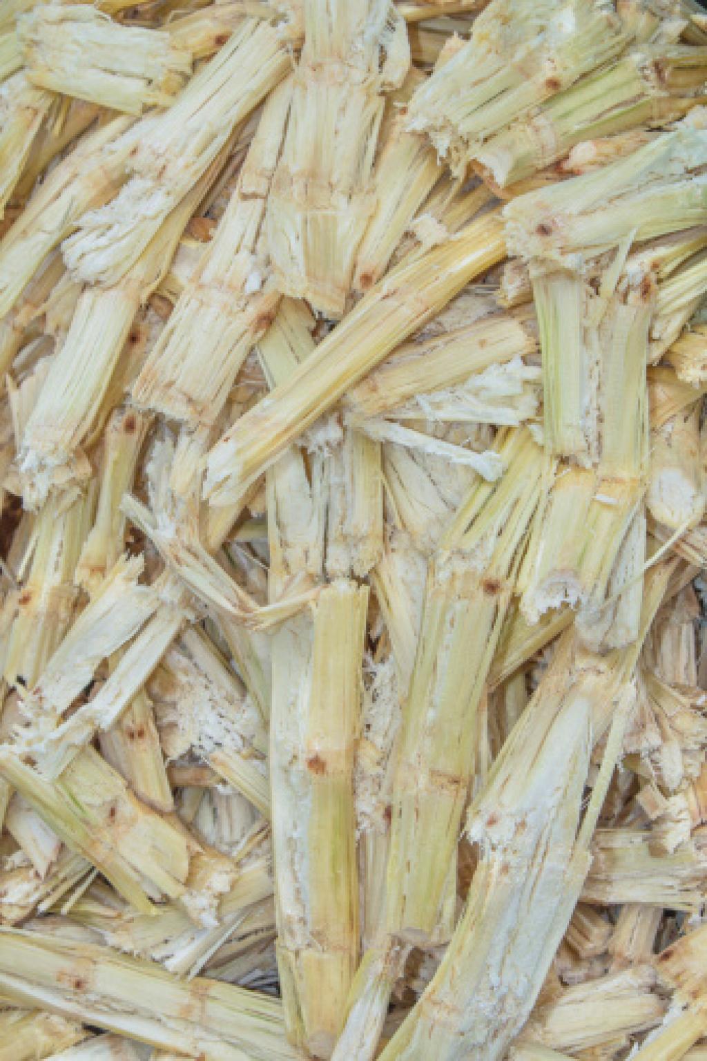 Lignin from agro waste helps make useful nanocomposites Lignin from agro waste helps make useful nanocomposites
