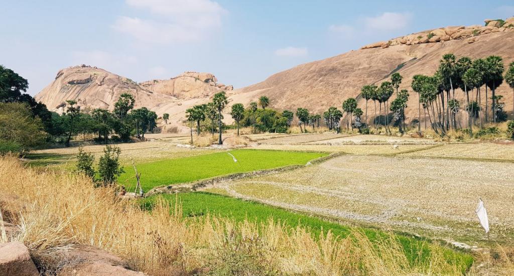 World Earth Day 2022 Community conserved Biodiversity Is Key To