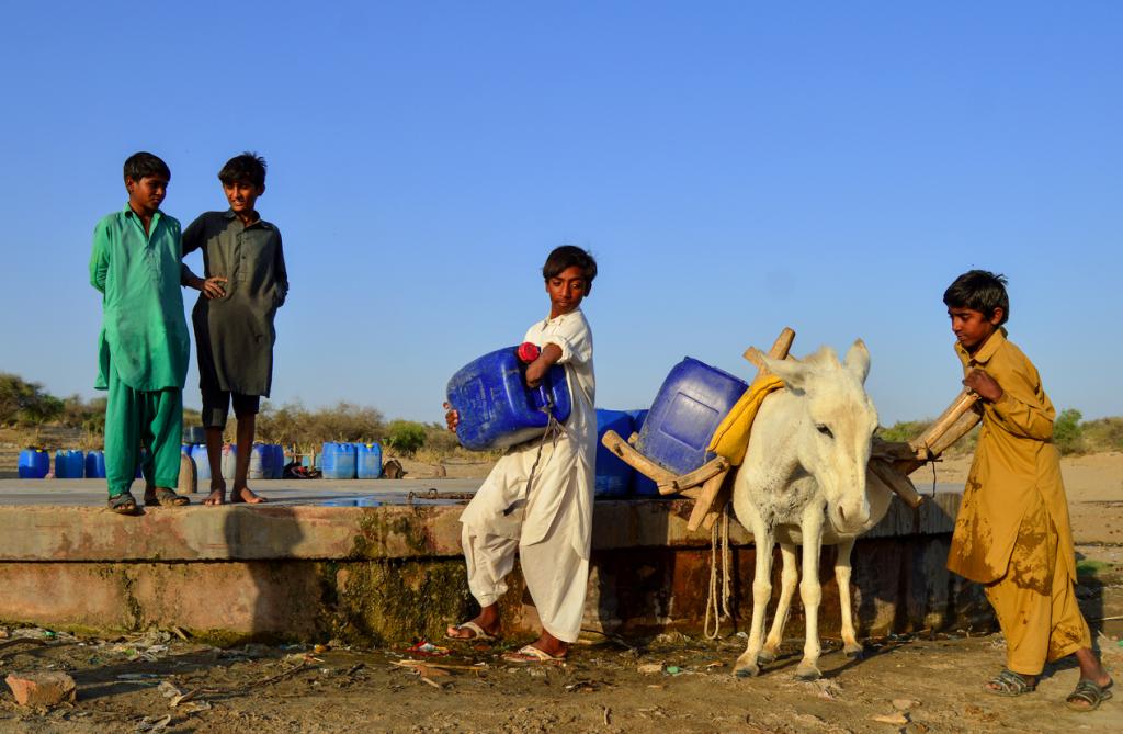 State Of India s Environment In Figures India Recorded 280 Heat Wave 