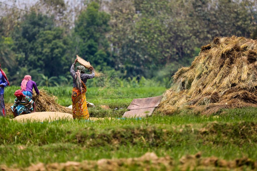 Market Access Critical For India s Sustainable Agri Transition CSE Report Market Access Critical For India s Sustainable Agri Transition CSE Report