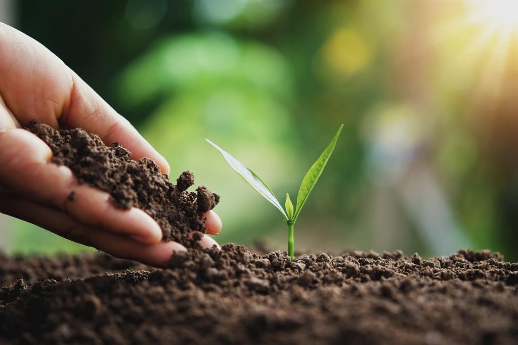 Soil Microbiomes Should Be Included In One Health Goals Study TrendRadars India