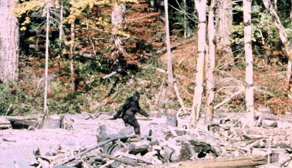 Cryptozoology Is Not A Quest For Animals But For Monsters Peter Dendle Cryptozoology Is Not A Quest For Animals But For Monsters Peter Dendle