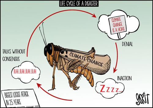 Locust Life Cycle