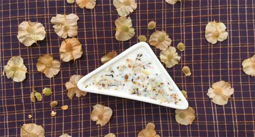 Down To Earth | Latest news, opinion, analysis on environment & science ...