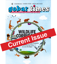 Centre for Science and Environment